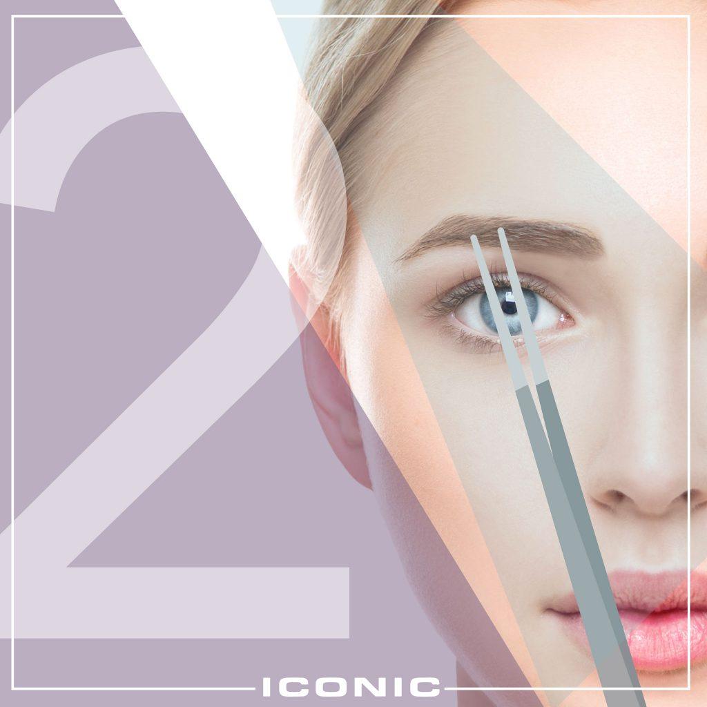 The Perfect Brows - Iconic Beautique Evesham